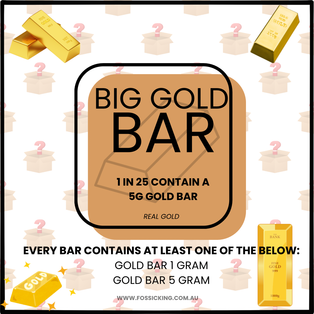 Big Gold Bar – Fossicking